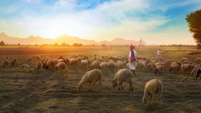 How to Care - Cambray Baptist Church